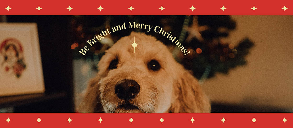 Holiday Greetings Visual Set | Renderforest
