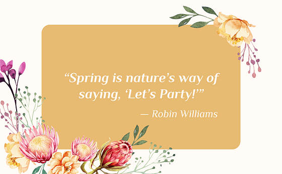 Spring Sale and Quote Set | Renderforest