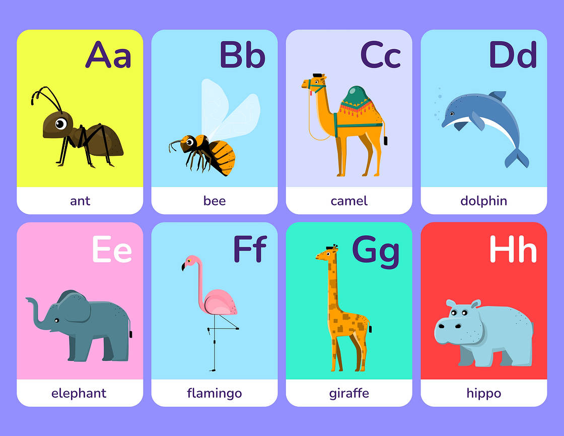Colorful Flashcard Templates | Renderforest