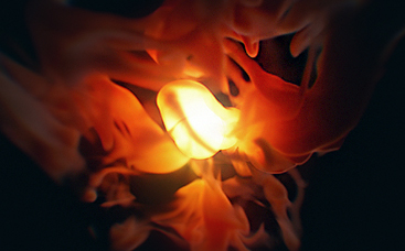Fire and Exploding Logo Animation Maker | Renderforest
