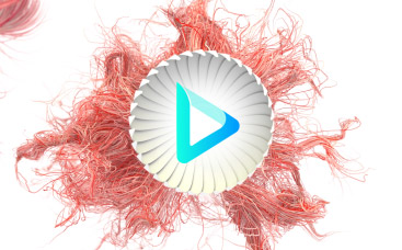 Construction Logo Reveal (15 Second Version) | Renderforest