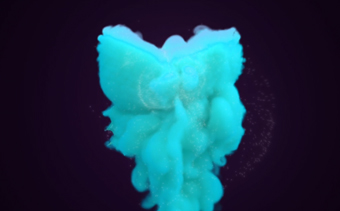 Butterfly Logo Animation (Widescreen Version) |en| Renderforest