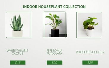 Houseplant Store Promotion | Renderforest