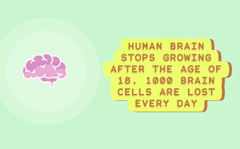 Interesting Facts about Biology | Renderforest