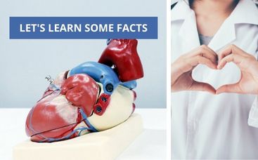 Interesting Facts About Your Heart | Renderforest
