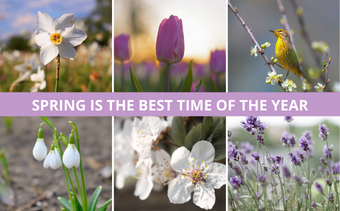 Happy First Day of Spring | Renderforest