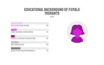 Immigration Statistics Infographic | Renderforest
