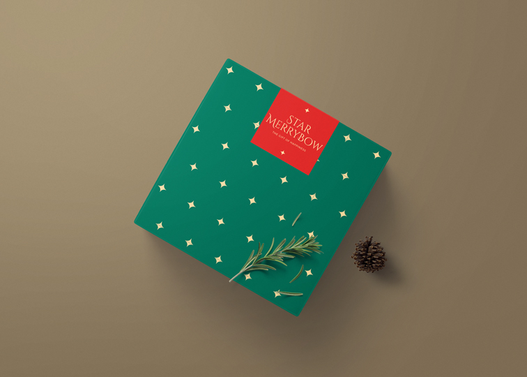 Christmas Packaging Mockup Set | Renderforest