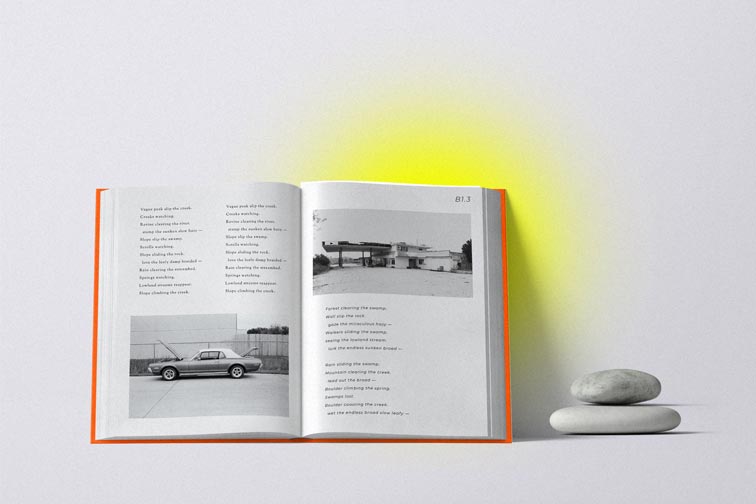 Book Cover & Book Release Mockup Set | Renderforest