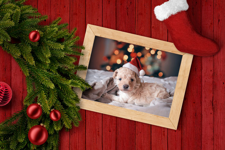 Christmas Frame Mockups | Renderforest